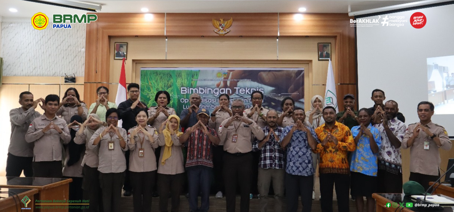 Berita BRMP PAPUA - BRMP Papua Gelar Bimtek Optimalisasi Pelaporan Data LTT untuk Dinas ...